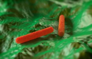 Postbiotici, cosa sono e a cosa servono - MedicinaLive